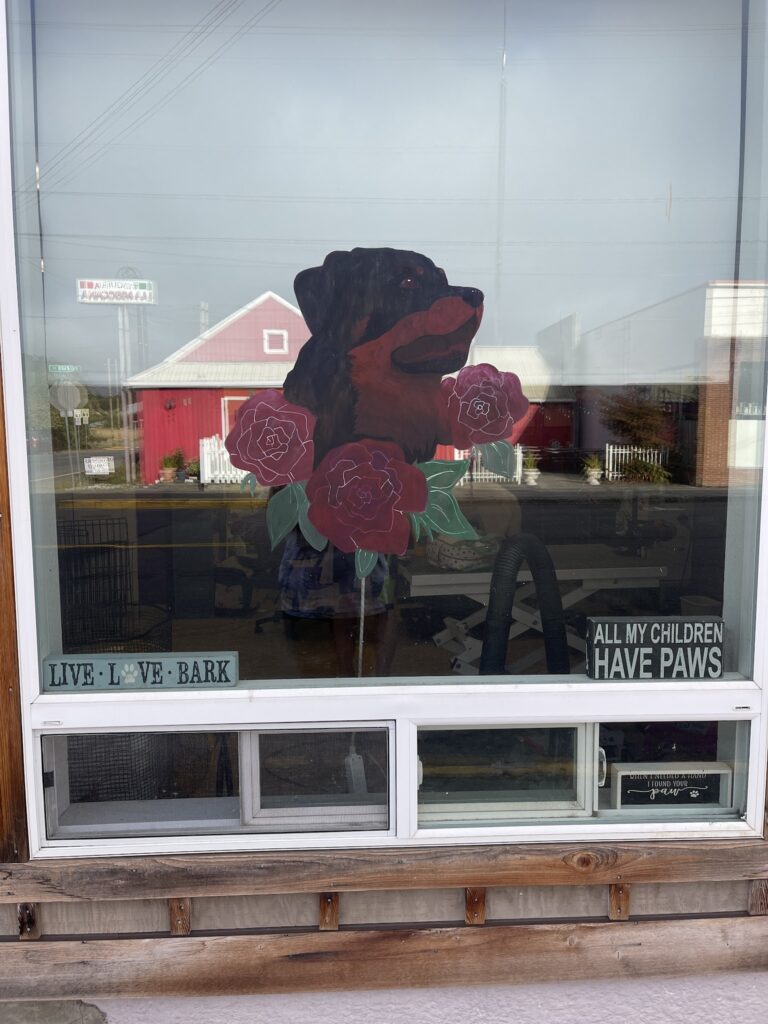 Barks N Bubbles Dog Grooming: Contact and Review | Local Pet Stores